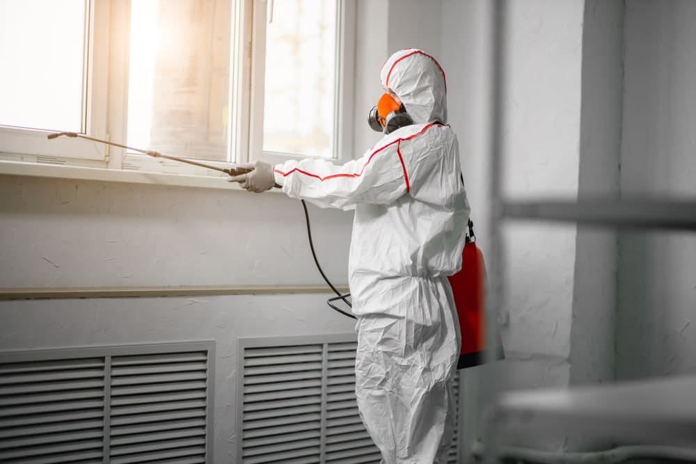 Top Rated Mold Remediation & Mold Removal - Powered By The People